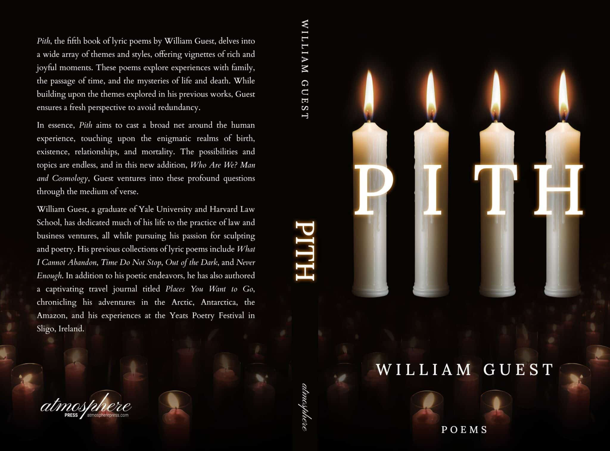 Pith, by William Guest | Atmosphere Press