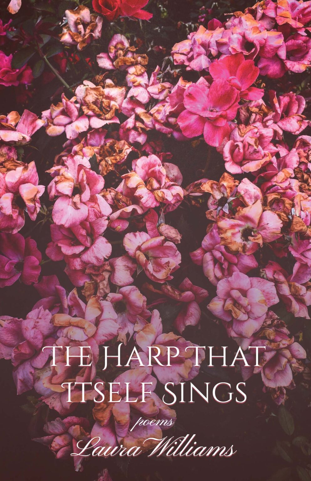 Poetry | Atmosphere Press